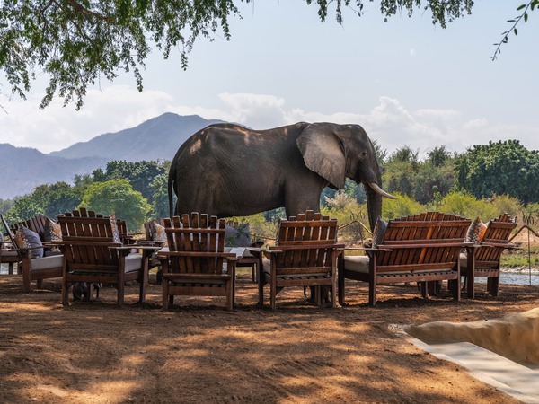 Chongwe Camp | Zambia Safari Camps | iSafari.com
