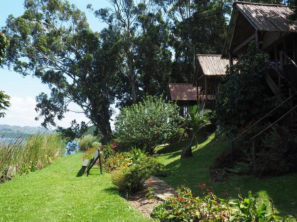 Large_20507485_1823365247992496_5489361172754157534_o